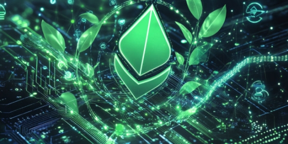 RAIN Coin Review: What You Need to Know About the New Token